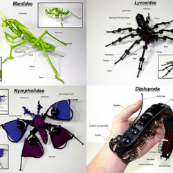 Creepy and cute LEGO insects