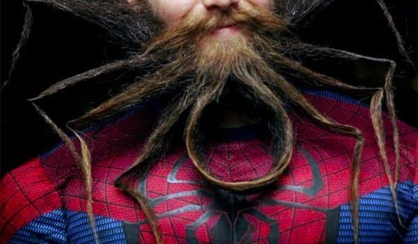 Award winning Spider-man beard
