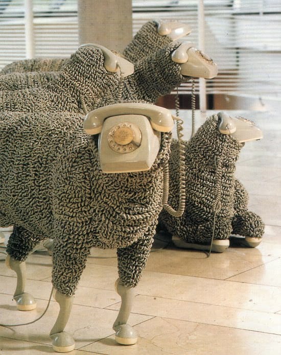 Phone sheep