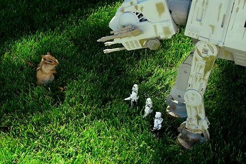 Star Wars chipmunk