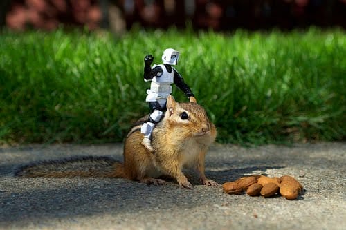 Star Wars chipmunk