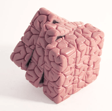 Does your head hurt? The Rubik's brain cube
