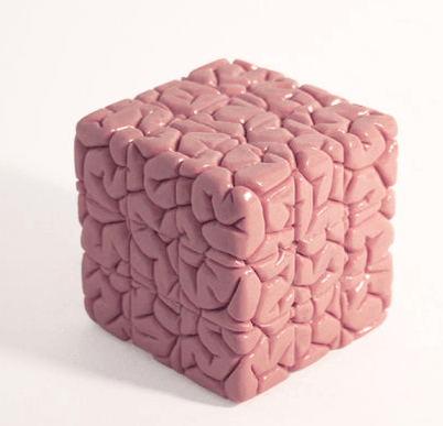 Does your head hurt? The Rubik's brain cube