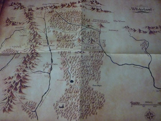 The One Ring: Adventures over the Edge of the Wild RPG review