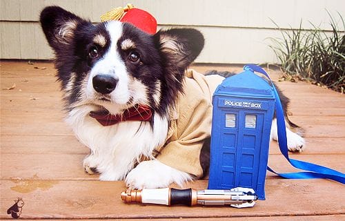 Dogtor Whoof