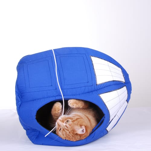 6 cats enjoying their own personal TARDIS