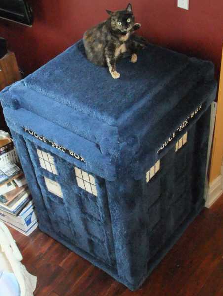 6 cats enjoying their own personal TARDIS