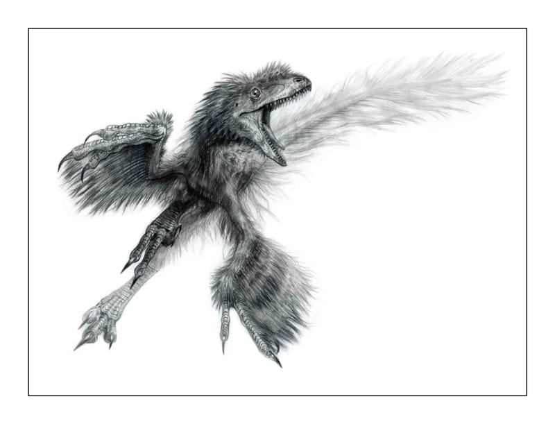 A preview of Dinosaur Art: The World’s Greatest Paleoart