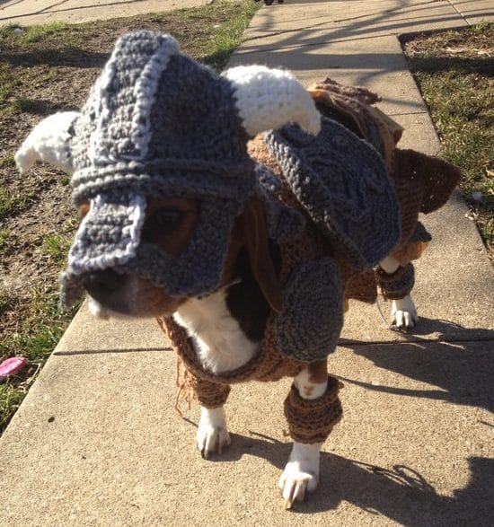 Behold! Fus-ro-dog!