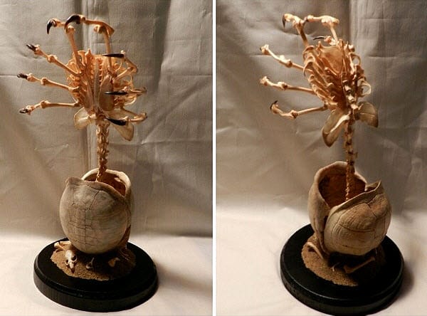 Bone facehugger