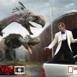 New Year, New Game: Primeval