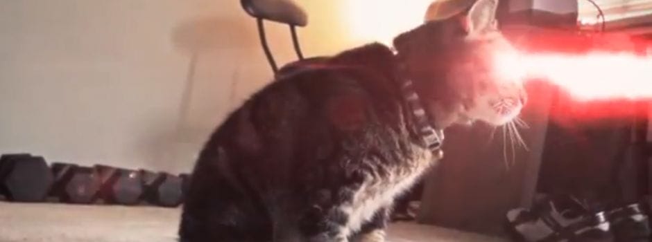 Cyclops Articles - Geek, Anime and RPG news