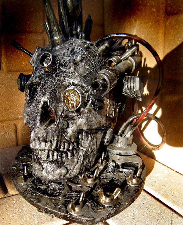 The cyborg's skull