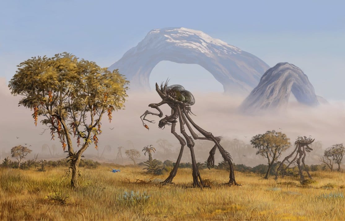 The cyclopean nightmares of K.L. Turner