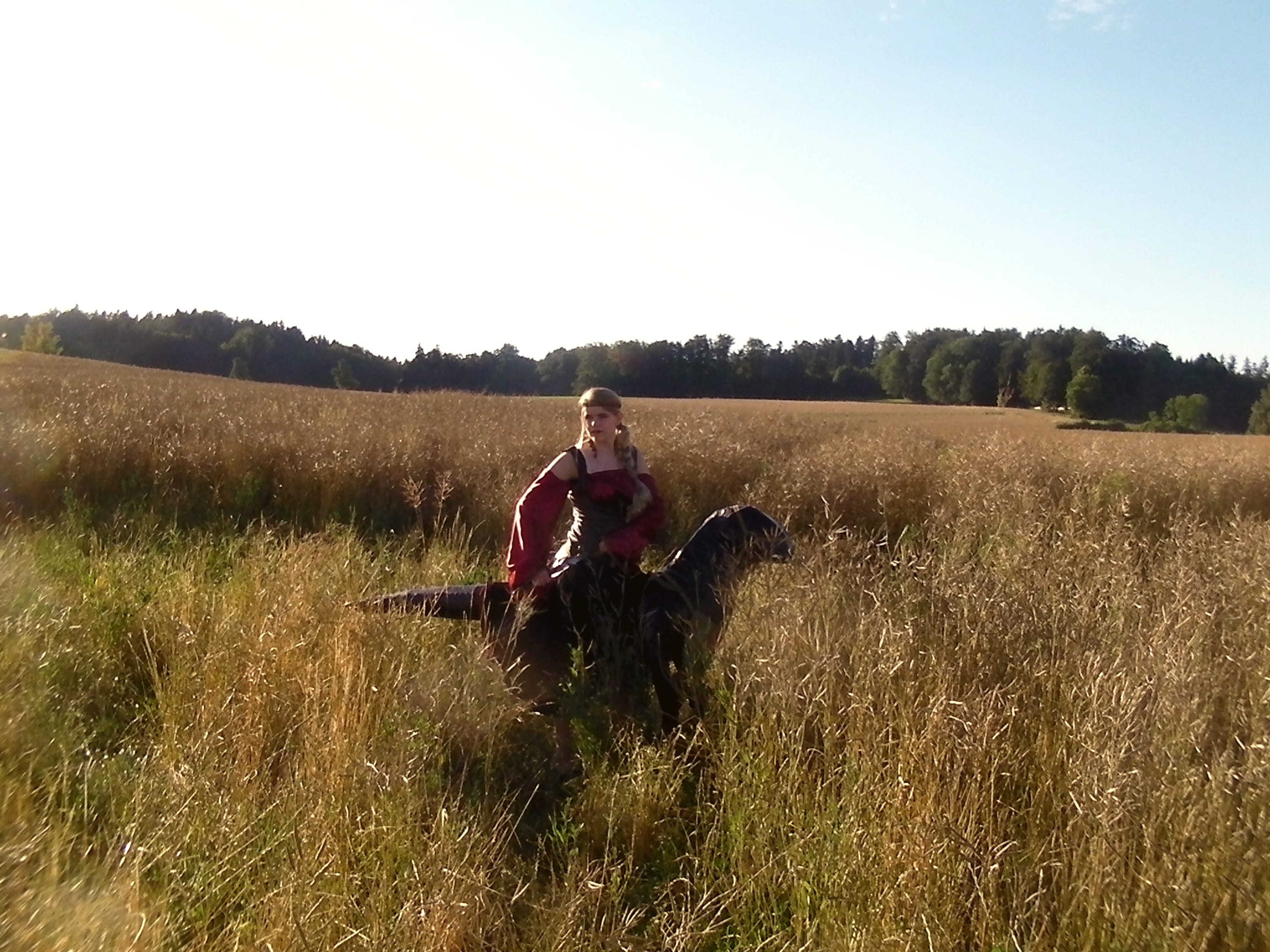 Laura "Lightning" Jansen wins Dragon Cosplay Summit 2013