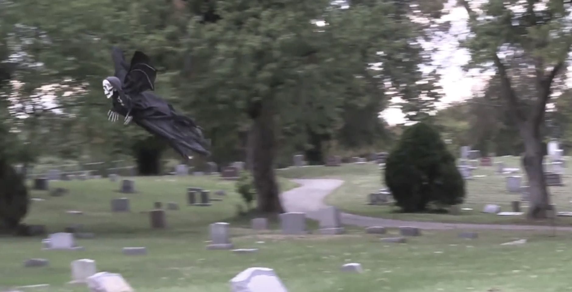 These are the flying ghosts we should fear this Halloween