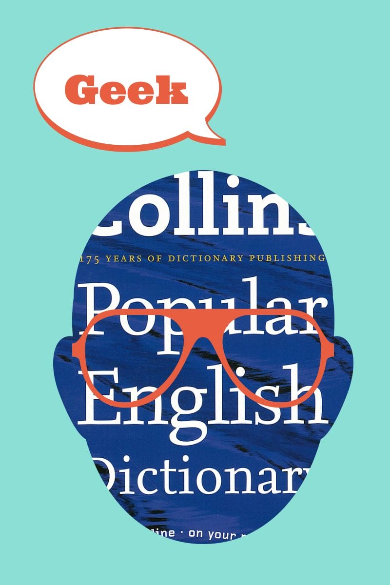 "Geek" is word of the year