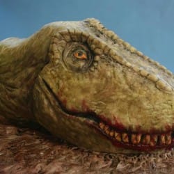 7 weird head cakes created by Heartache