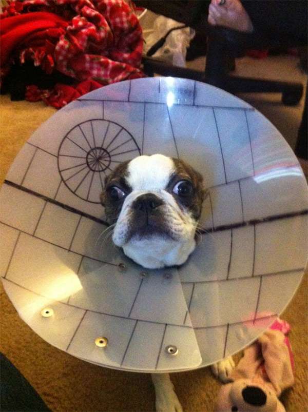Geeked: The Cone of Shame