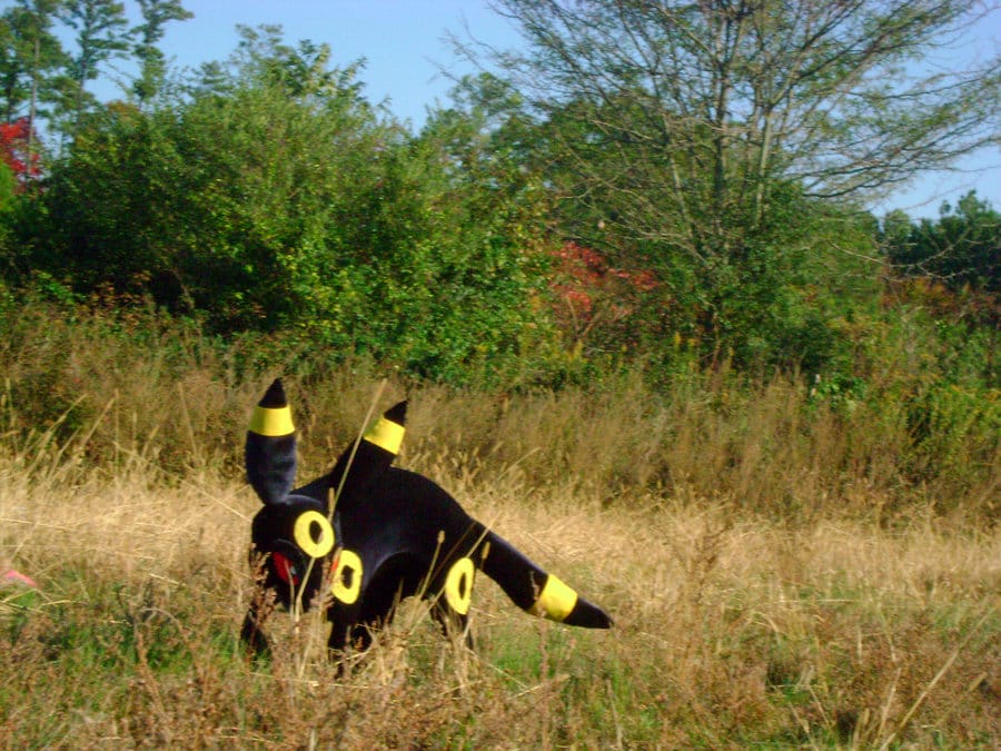 Real life Umbreon cosplay