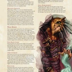 D&D 5e: Wild magic