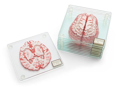 Sliced brain for your tabletop