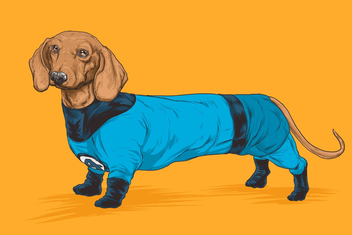 16 clever dogs of the Marvel Universe