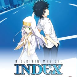 Wizards vs Science: A review of a Certain Magical Index