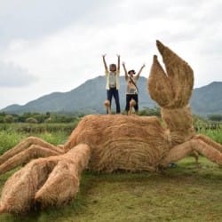 Japanese Wara Art Festival monsters