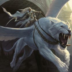 Bold and colourful: The illustrations of Chris Rahn