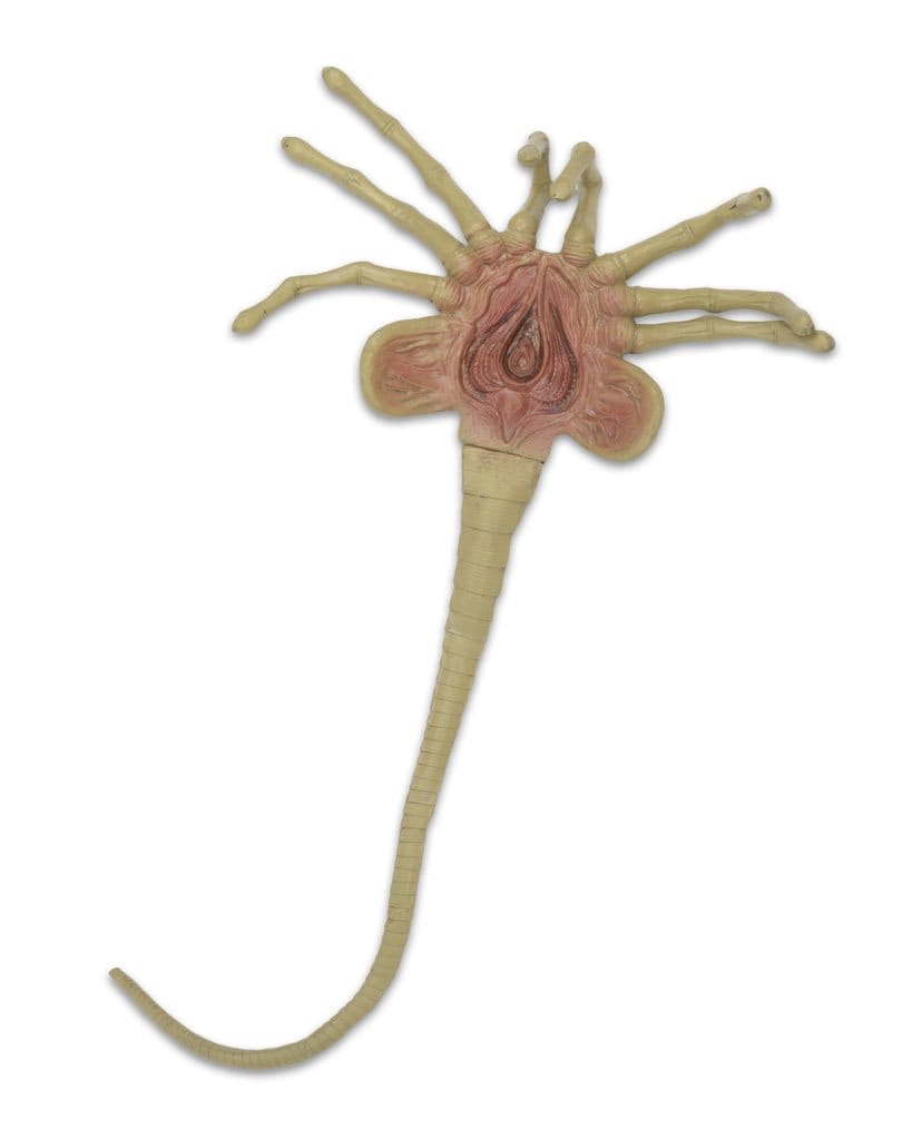 Surprise your flatmates with is life sized Facehugger