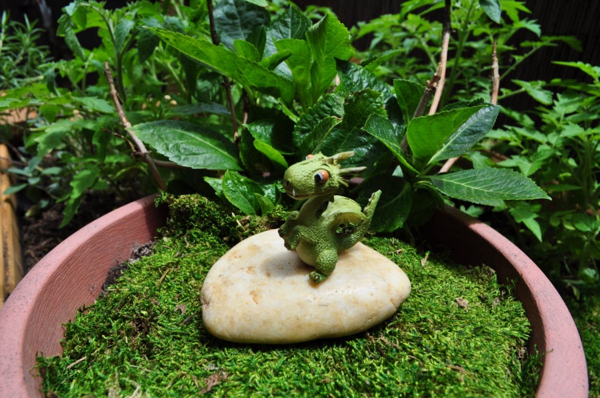 Adorable tiny dragons for your garden!