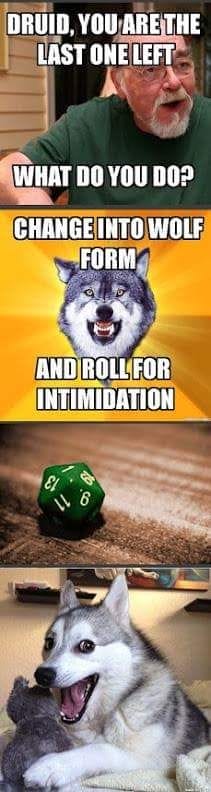 14 of the best DnD memes on Pinterest