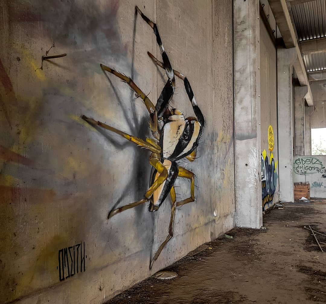 Anamorphic urban insect art to scare your players