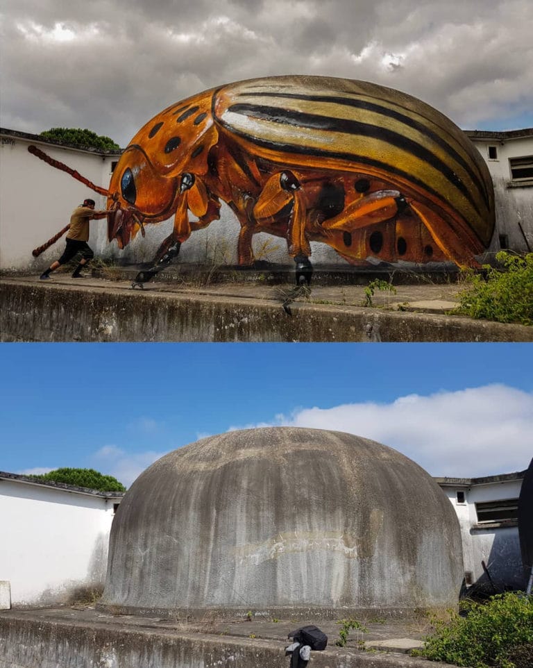 Anamorphic urban insect art to scare your players