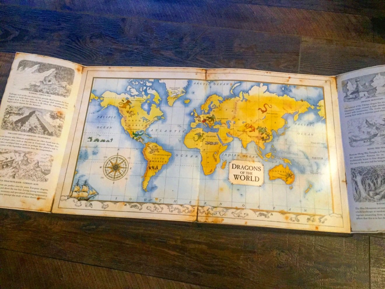 Dragonology reborn in this amazing custom rebinding