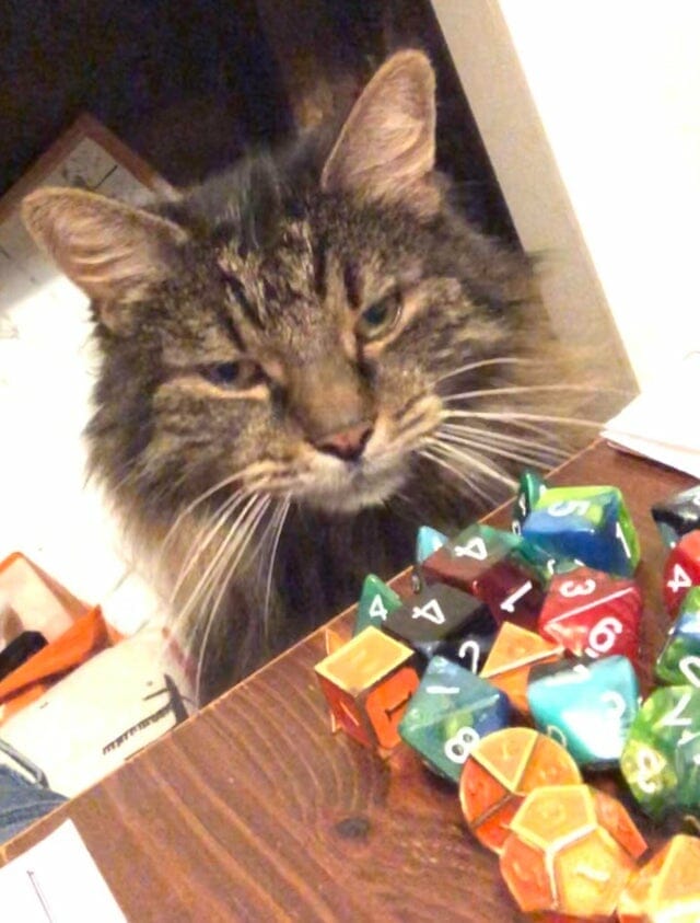 15 times cats were caught playing D&D