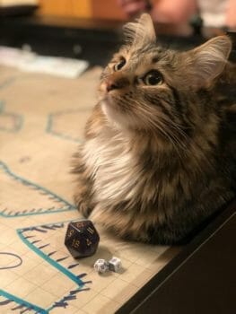 15 times cats were caught playing D&D