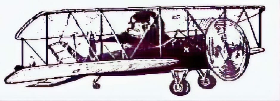 World's oldest tabletop RPG company, Flying Buffalo, to be sold