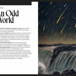 Chris McDowall, Johan Nohr and Free League launch the Into the Odd ...