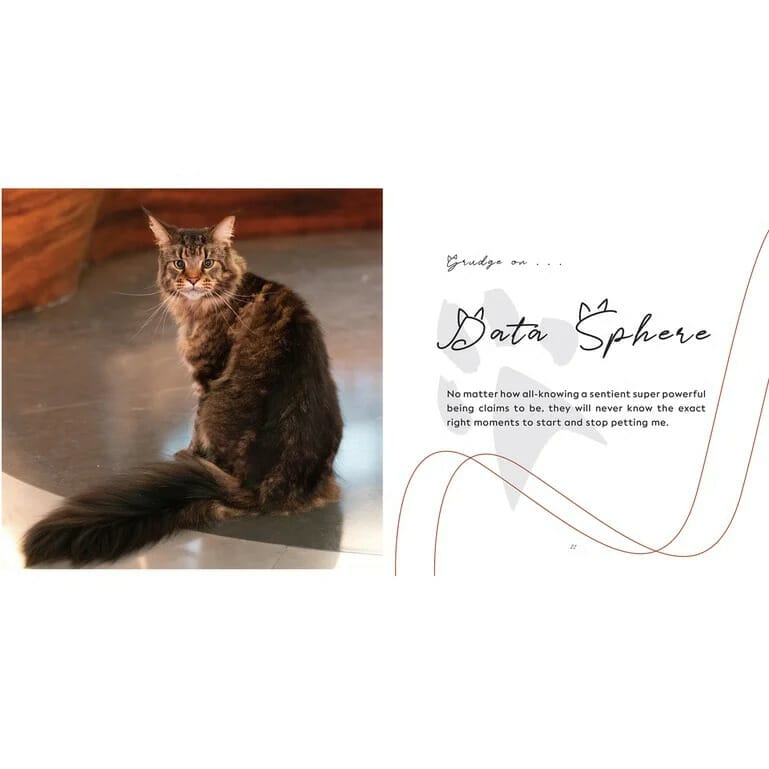 Competition: Win Star Trek Discovery - The Book of Grudge