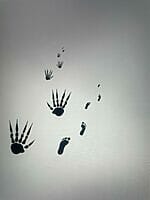 Endless Paper: the app that's smashing artistic boundaries like never ...