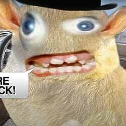 spongmonkeys Articles - Geek, Anime and RPG news