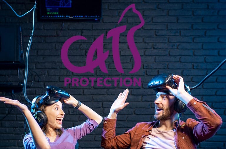 Cats Protection calls on gamers to stream and raise awareness of ...
