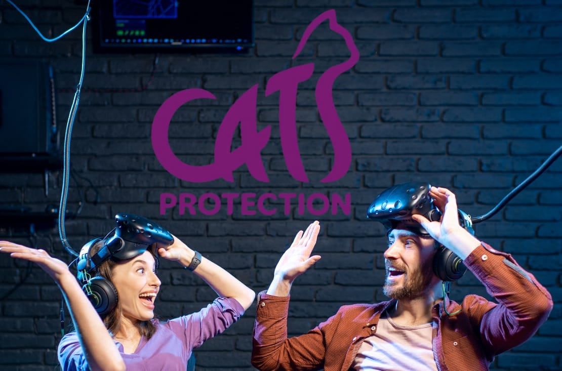 Cats Protection calls on gamers to stream and raise awareness of ...