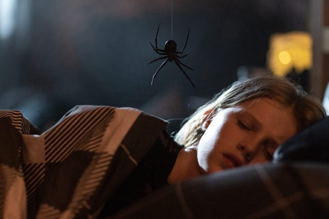 Giant flesh-eating spiders are out to get you in the trailer for 'Sting'