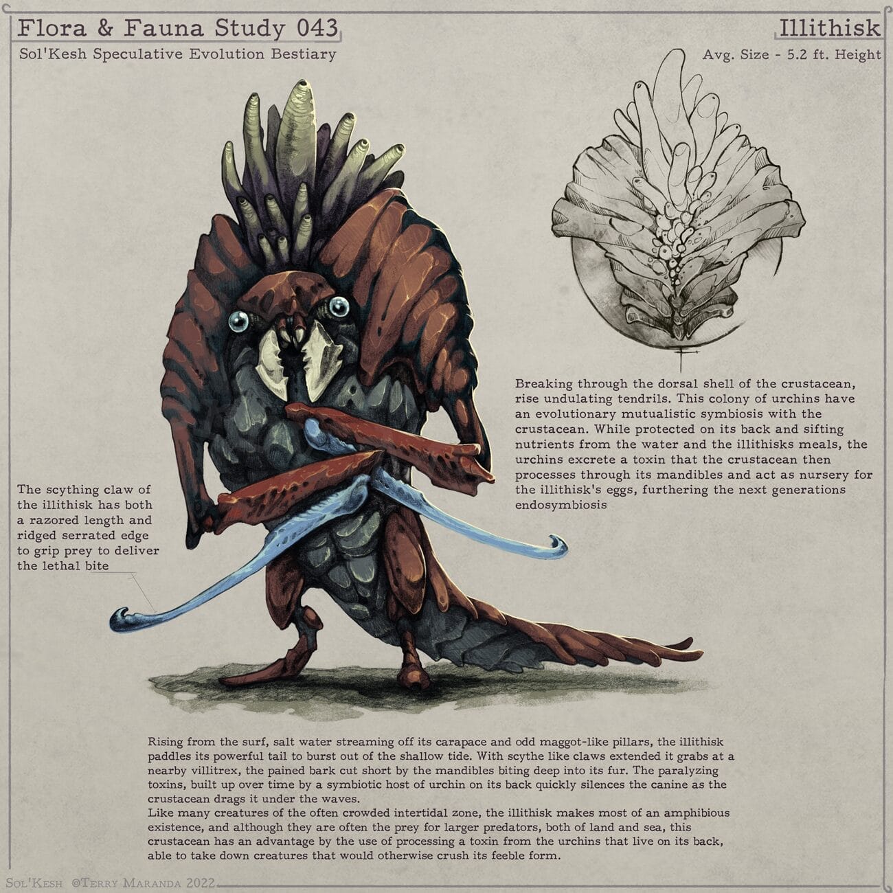 RPG Publisher Spotlight: Terry Maranda