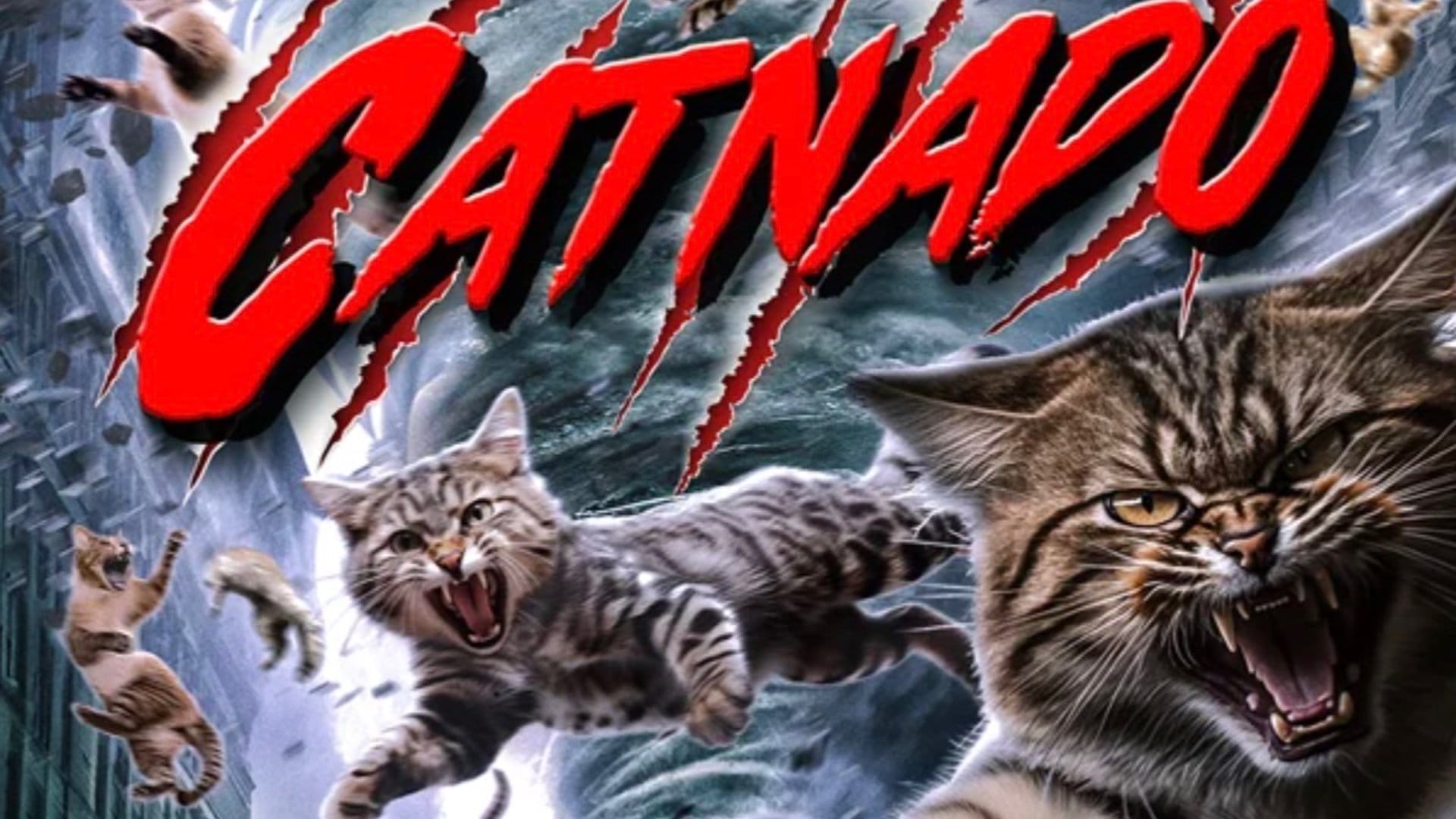 Insanely terrible trailer for upcoming b-movie 'Catnado' we could ...