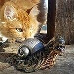 This Xenomorph Snail is out of this world