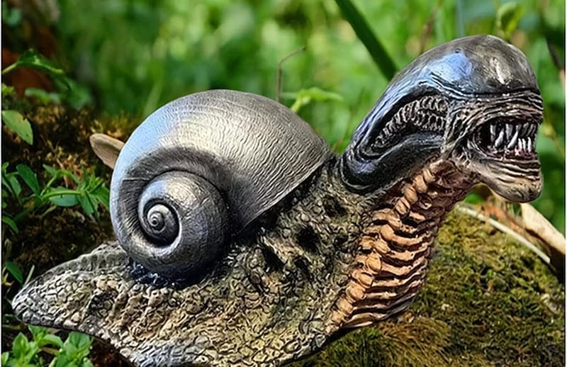 This Xenomorph Snail is out of this world
